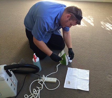 Geraldton - Fresh Aire Carpet Cleaning