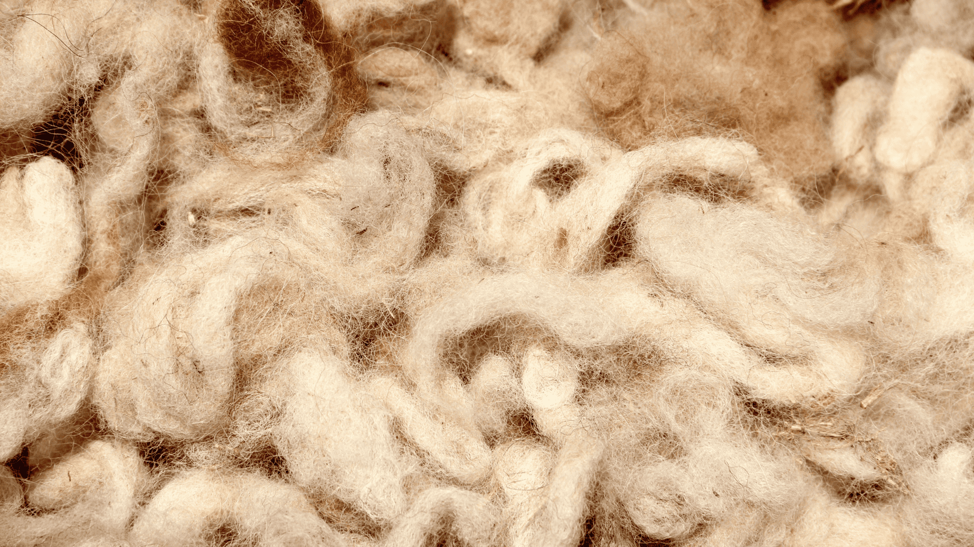 Fibre Protector | Fresh Aire Carpet Cleaning