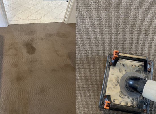 Surprise Stains to Full Restoration | Fresh Aire Carpet Cleaning